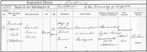 William Cone Family Tree